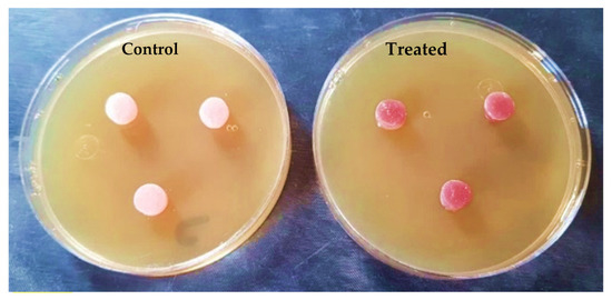 Effect of Adding Silver-Doped Carbon Nanotube Fillers to Heat-Cured ...