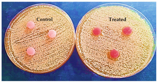 Effect of Adding Silver-Doped Carbon Nanotube Fillers to Heat-Cured ...
