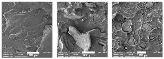 Degradation of Polylactic Acid Polymer and Biocomposites Exposed to ...