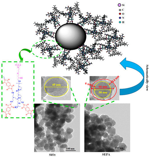 Polymers | Free Full-Text | Sol–Gel Approach for Fabricating Silica ...