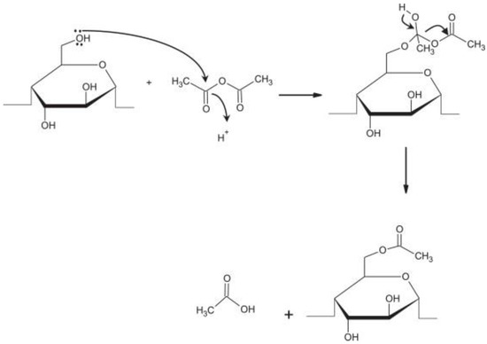 Modification of Starches and Flours by Acetylation and Its Dual ...