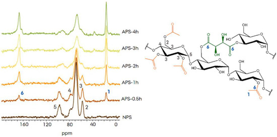 Modification of Starches and Flours by Acetylation and Its Dual ...