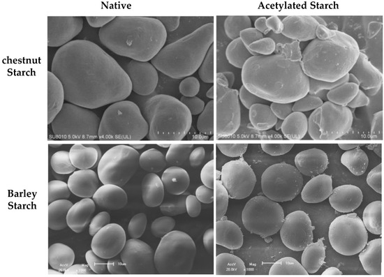 Modification of Starches and Flours by Acetylation and Its Dual Modifications: A Review of ...