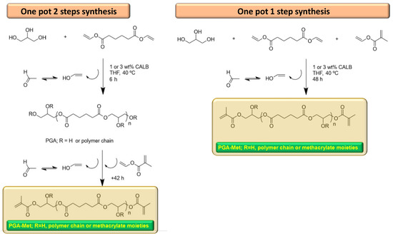 Straightforward Enzymatic Methacrylation of Poly(Glycerol Adipate) for ...