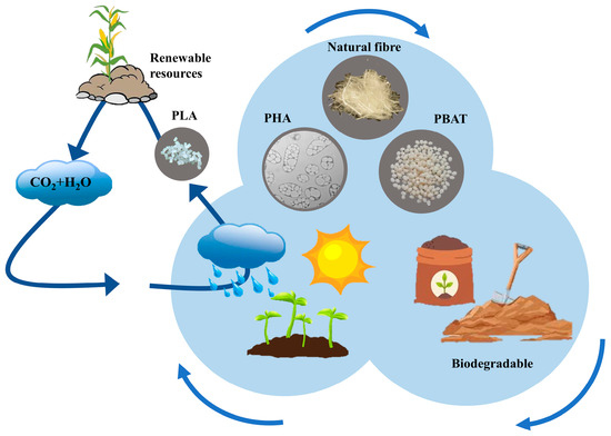 Biodegradable Polylactic Acid and Its Composites: Characteristics ...