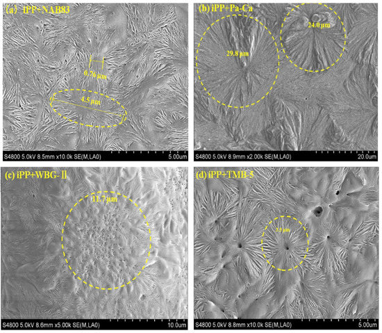 Polymers | Free Full-Text | β-Nucleated Polypropylene: Preparation ...