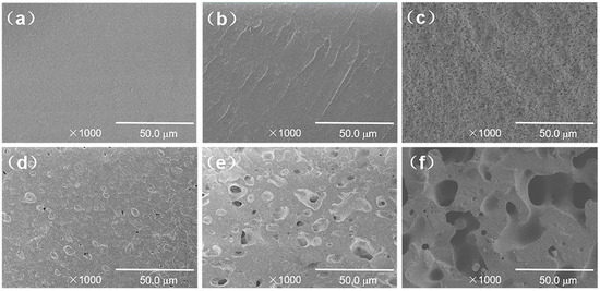 Influence of TPU/EVA Phase Morphology Evolution on Supercritical Carbon ...