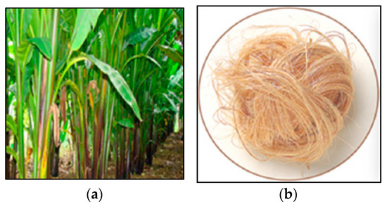 Methodologies to Evaluate the Micromechanics Flexural Strength ...