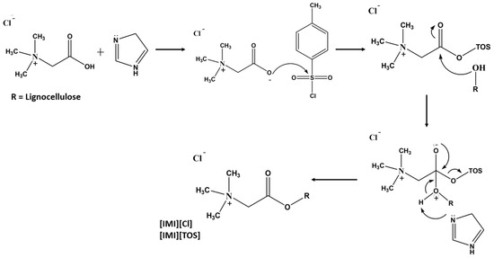 Eco-Friendly Methods for Extraction and Modification of Cellulose: An ...