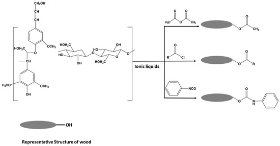 Eco-Friendly Methods for Extraction and Modification of Cellulose: An ...
