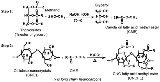 Eco-Friendly Methods for Extraction and Modification of Cellulose: An ...