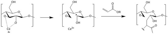 Eco-Friendly Methods for Extraction and Modification of Cellulose: An ...