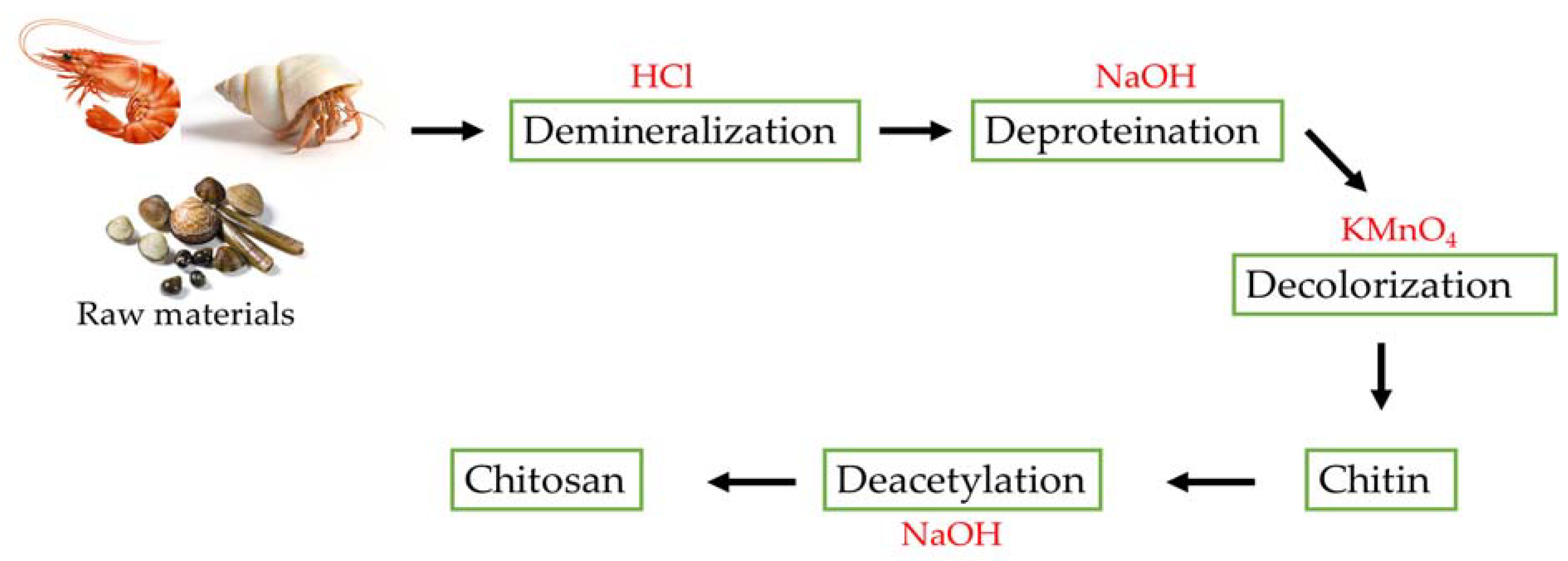 Chitosan-Based Composites: Development and Perspective in Food ...