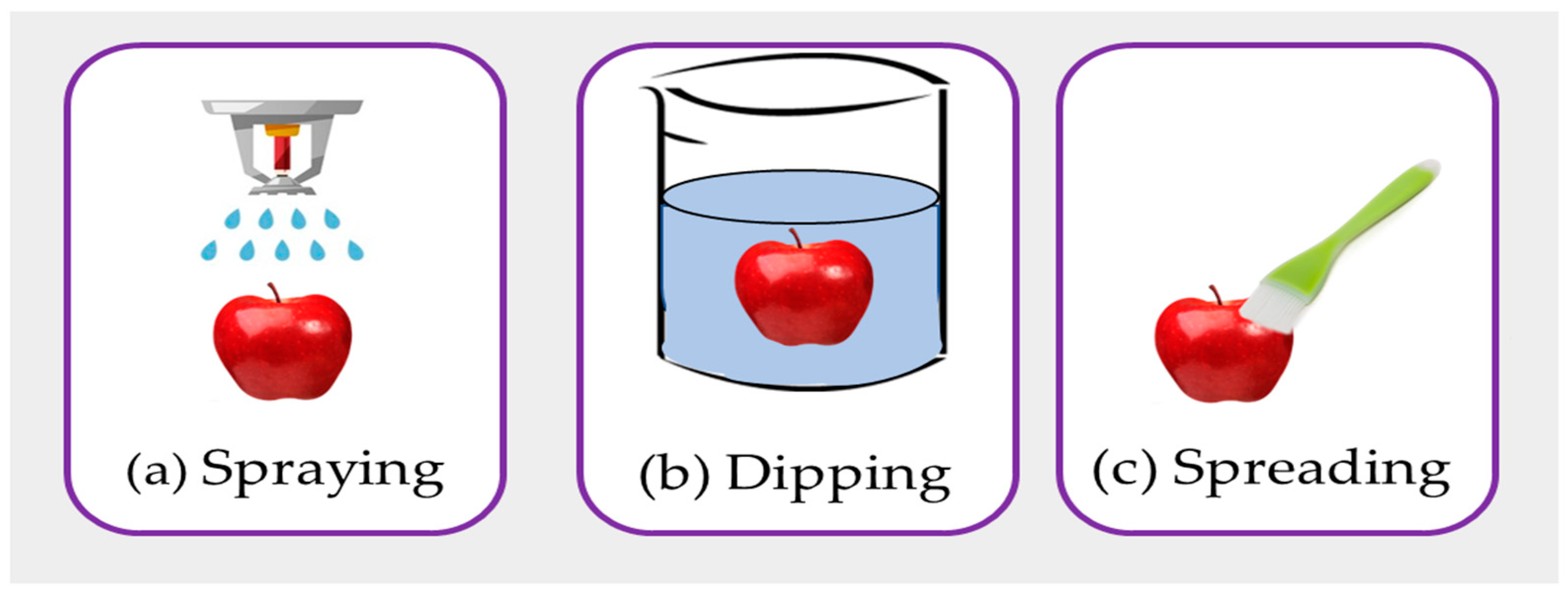 Chitosan-Based Composites: Development and Perspective in Food ...