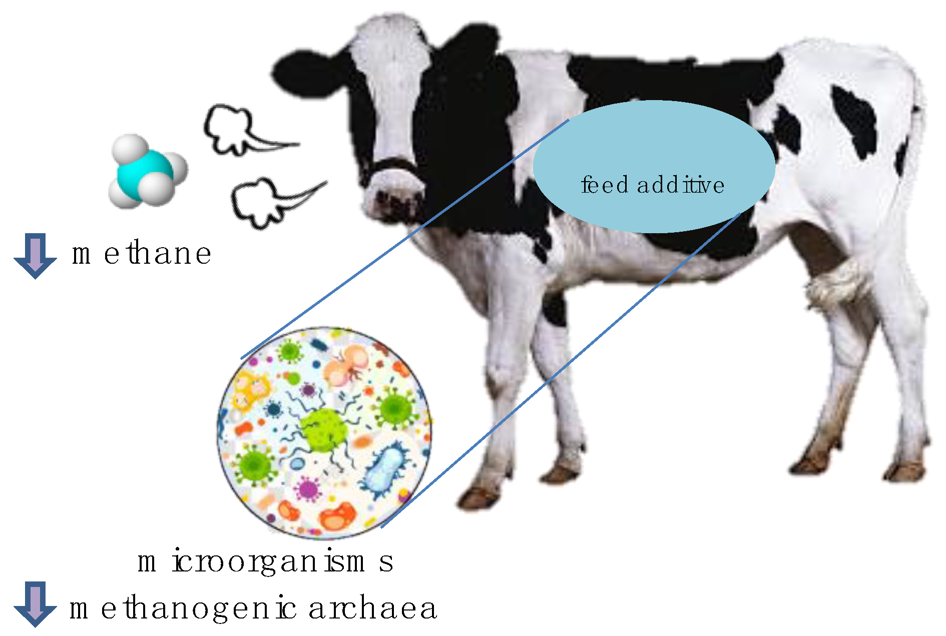 Role of Polysaccharides from Marine Seaweed as Feed Additives for ...