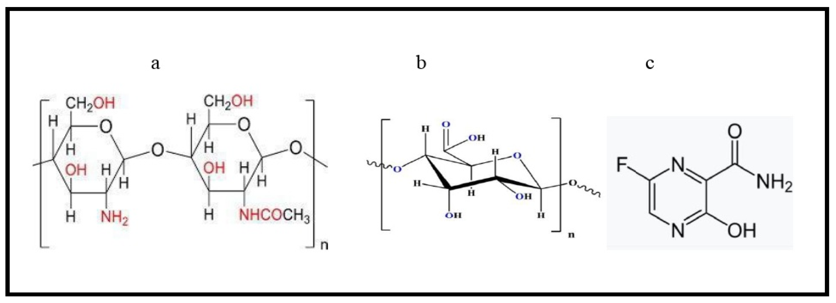 Effects of Surface Morphology and Type of Cross-Linking of Chitosan ...