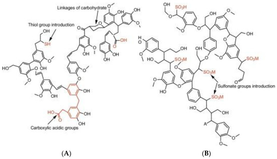Lignins as Promising Renewable Biopolymers and Bioactive Compounds for ...