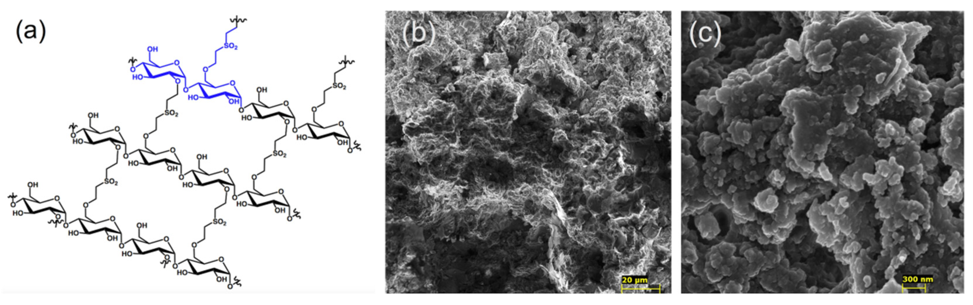 Removal of the Water Pollutant Ciprofloxacin Using Biodegradable ...