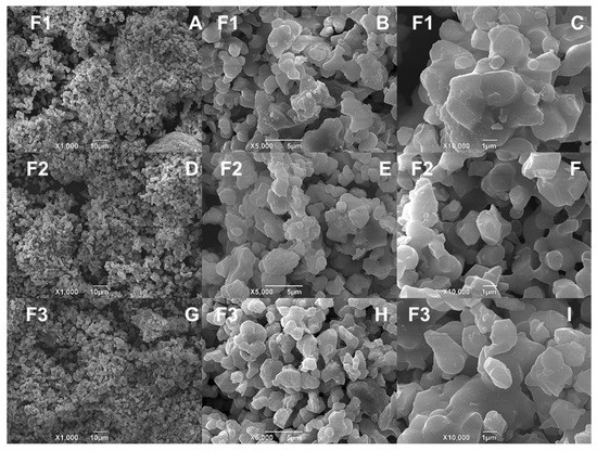 Chitosan (CS)/Hydroxyapatite (HA)/Tricalcium Phosphate (β-TCP)-Based ...