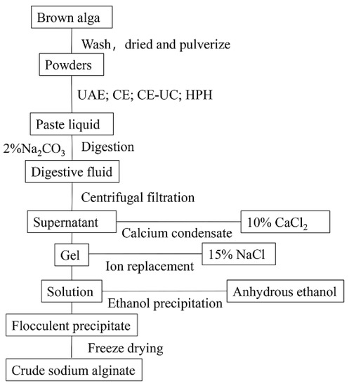 Structural and Physical Properties of Alginate Pretreated by High ...