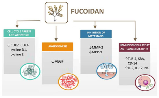 Novel Fucoidan Pharmaceutical Formulations and Their Potential ...