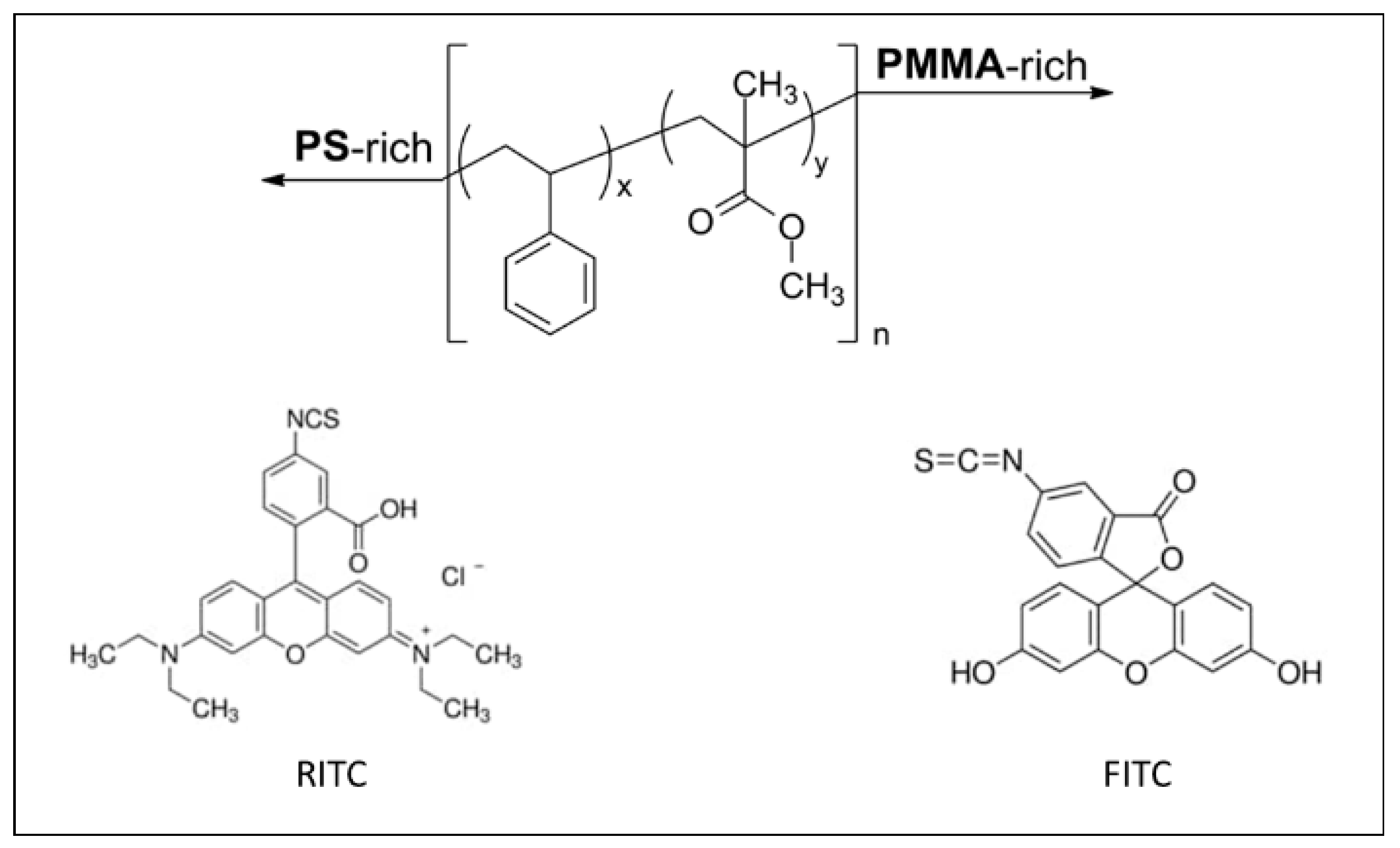 Dye-Doped Polymeric Microplastics: Light Tools for Bioimaging in Test ...