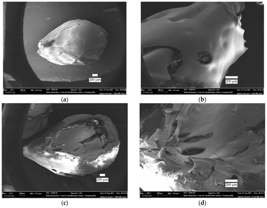 Enhanced Adsorption Performance Cross-Linked Chitosan/Citrus reticulata ...