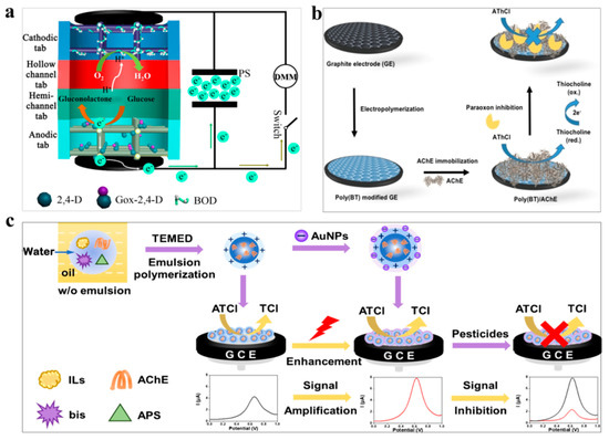 Recent Advances in Polymer-Based Biosensors for Food Safety Detection