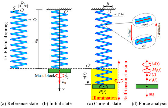Self-Oscillating Liquid Crystal Elastomer Helical Spring Oscillator ...