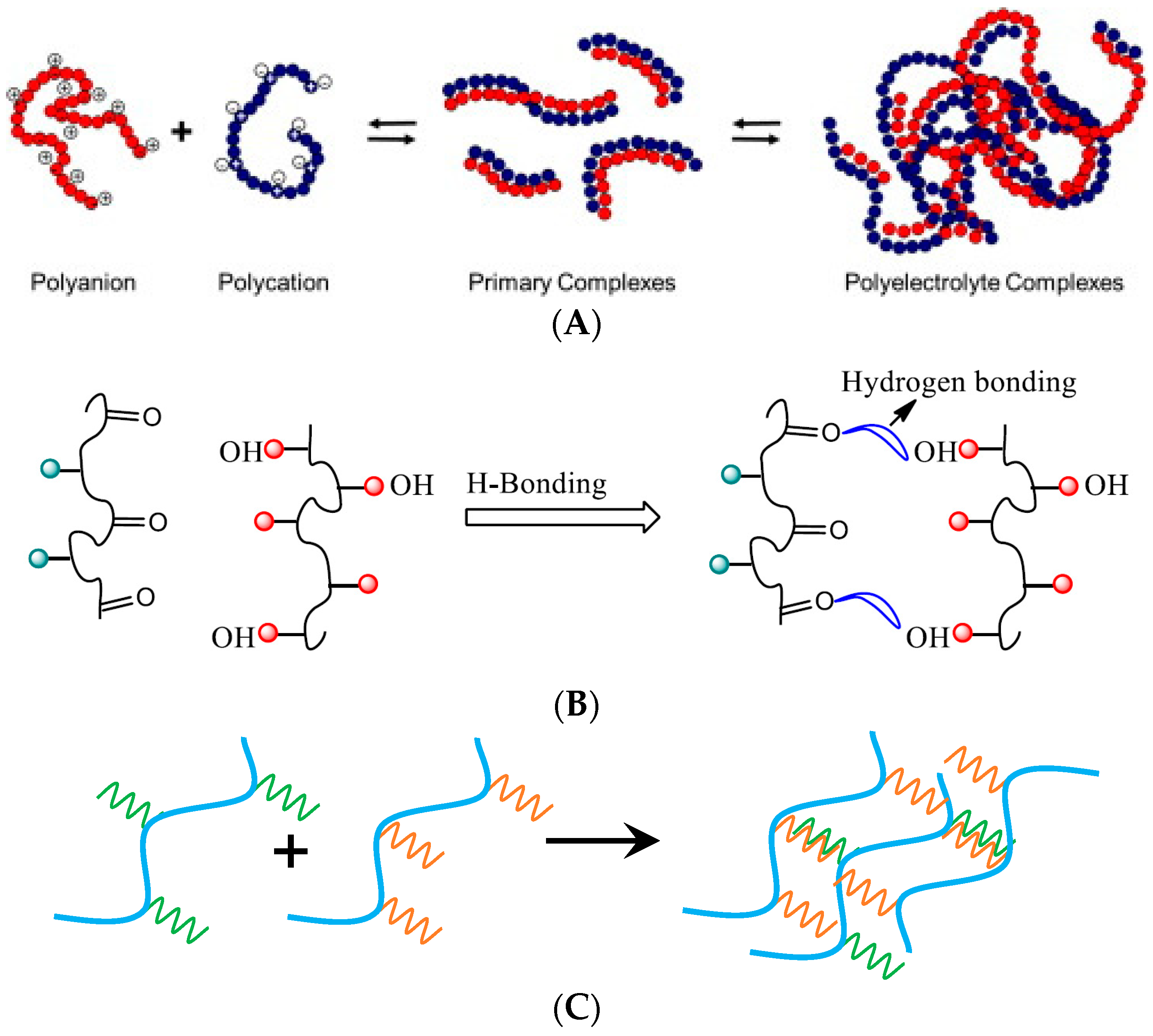 Interpolymer Complexes Based on Cellulose Ethers: Application