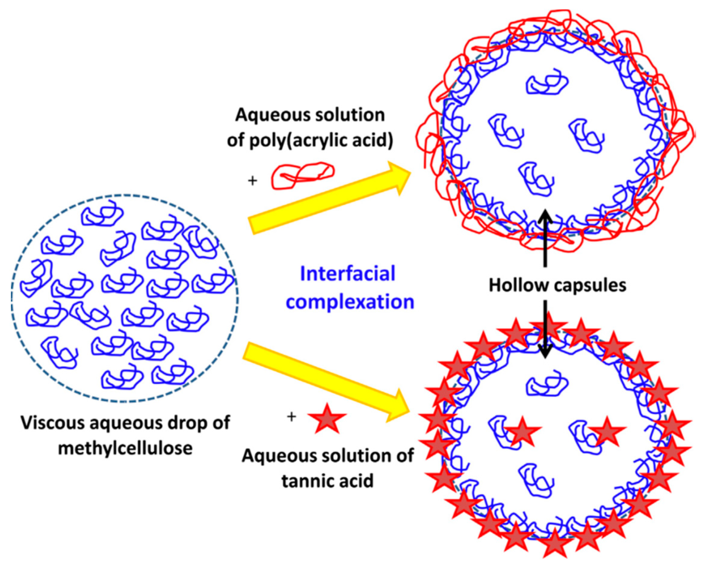 Interpolymer Complexes Based on Cellulose Ethers: Application