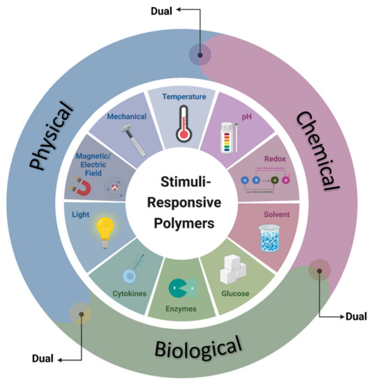 Innovations in the Design and Application of Stimuli-Responsive Restorative Dental Polymers