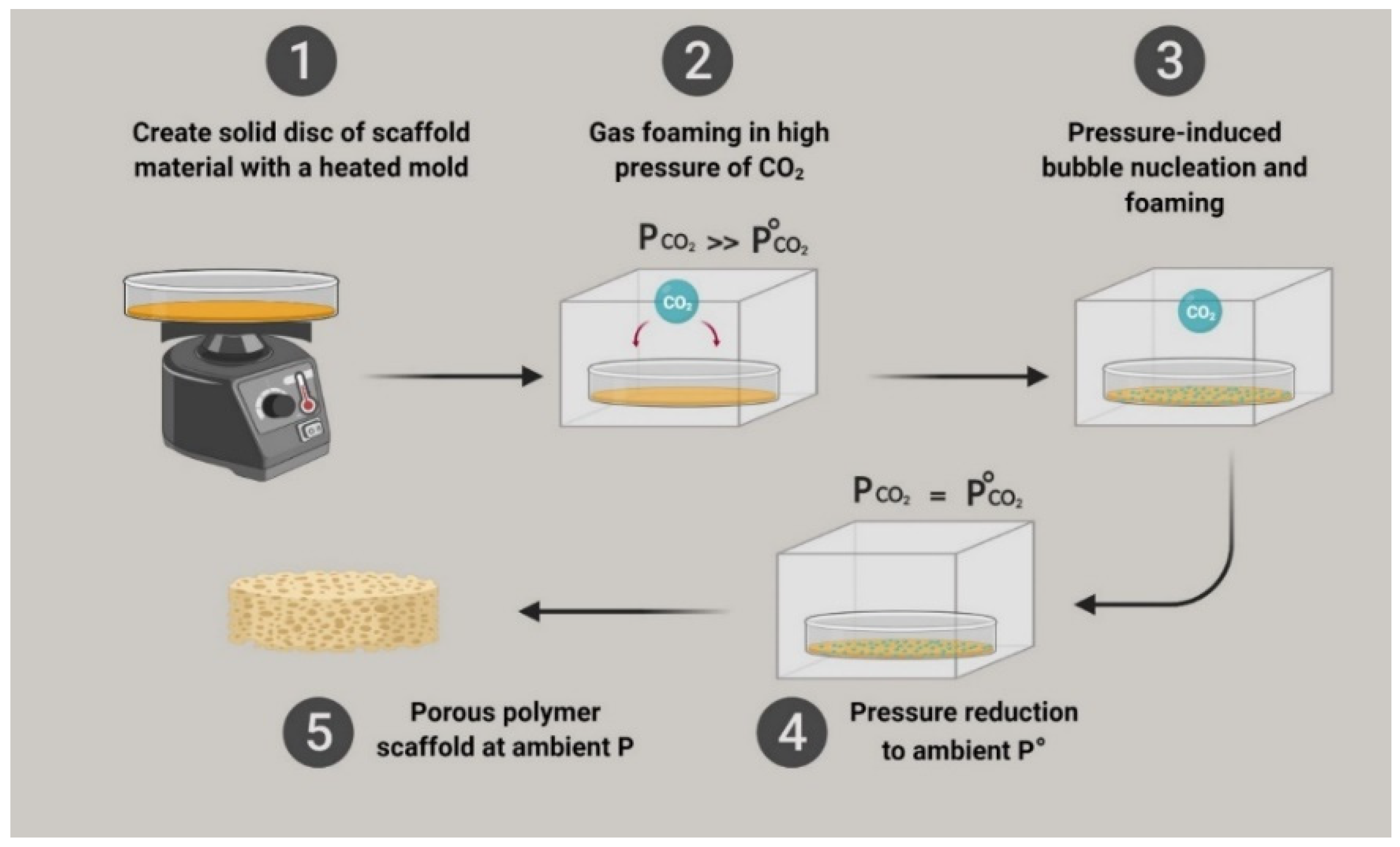Polymers | Free Full-Text | Guided Tissue and Bone Regeneration Membranes: A Review of ...