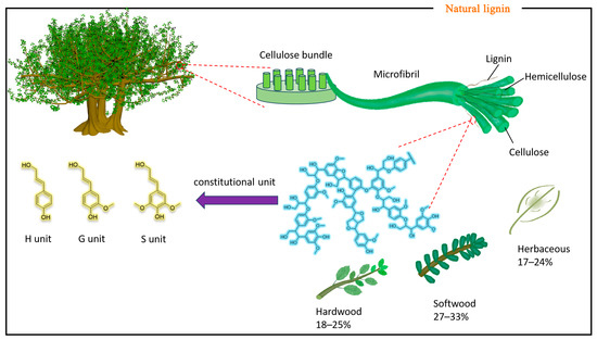 Research Progress and Prospect of Stimuli-Responsive Lignin Functional ...
