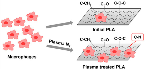 Effect of Nitrogen Arc Discharge Plasma Treatment on Physicochemical ...