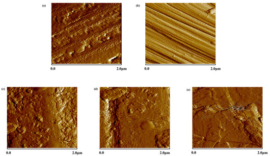 Preparation and Characterization of Dopamine-Modified Carbon Fiber ...
