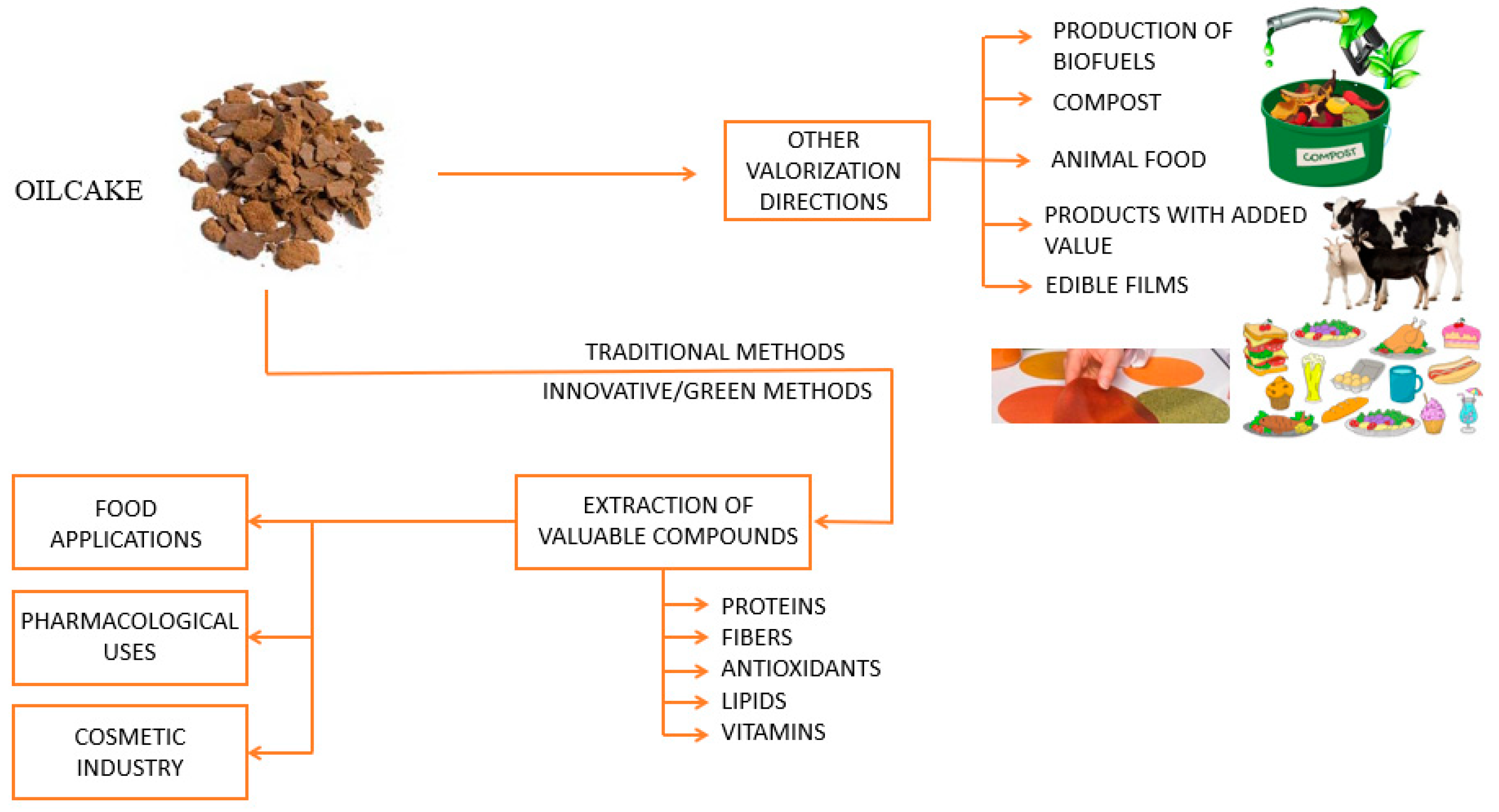 A Novel Approach about Edible Packaging Materials Based on Oilcakes—A ...