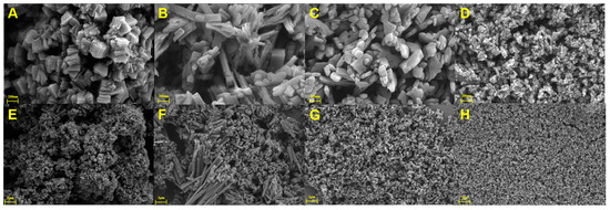 Polyamidoamine Dendrimers Functionalized Water-Stable Metal–Organic ...