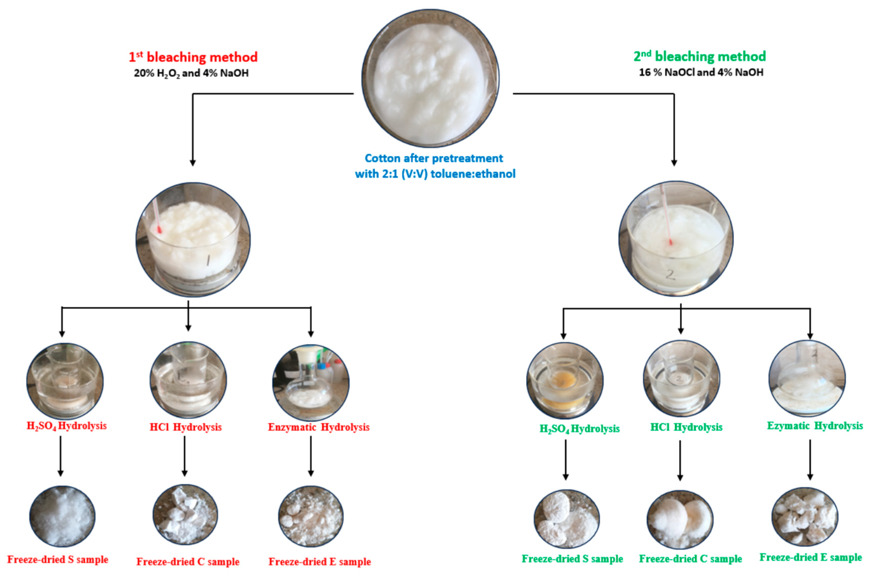 A Comparative Study of the Impact of the Bleaching Method on the ...