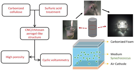 Cellulose Nanocrystal Embedded Composite Foam and Its Carbonization for ...