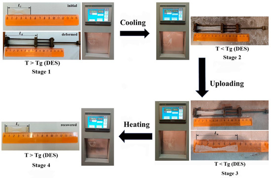 Three-Dimensional Printed Shape Memory Gels Based on a Structured Disperse System with ...