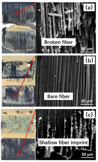 Morphological Characterization and Failure Analysis of the Ultrasonic ...