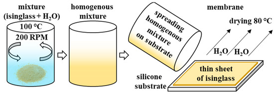 Isinglass as an Alternative Biopolymer Membrane for Green ...
