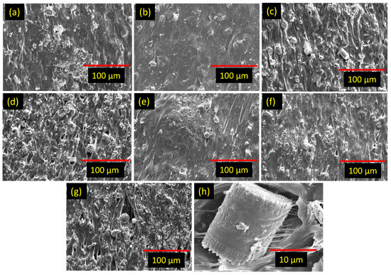 Fabrication of High-Performance Natural Rubber Composites with Enhanced ...