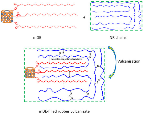 Fabrication of High-Performance Natural Rubber Composites with Enhanced ...