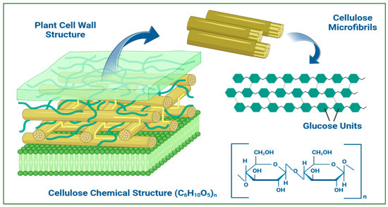 Application of Starch, Cellulose, and Their Derivatives in the ...