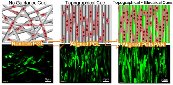 Recent Development of Polymer Nanofibers in the Field of Optical Sensing