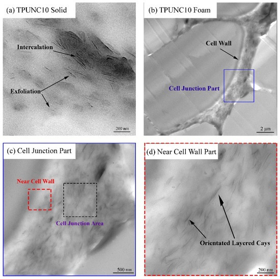 The Study on the Morphology and Compression Properties of Microcellular ...