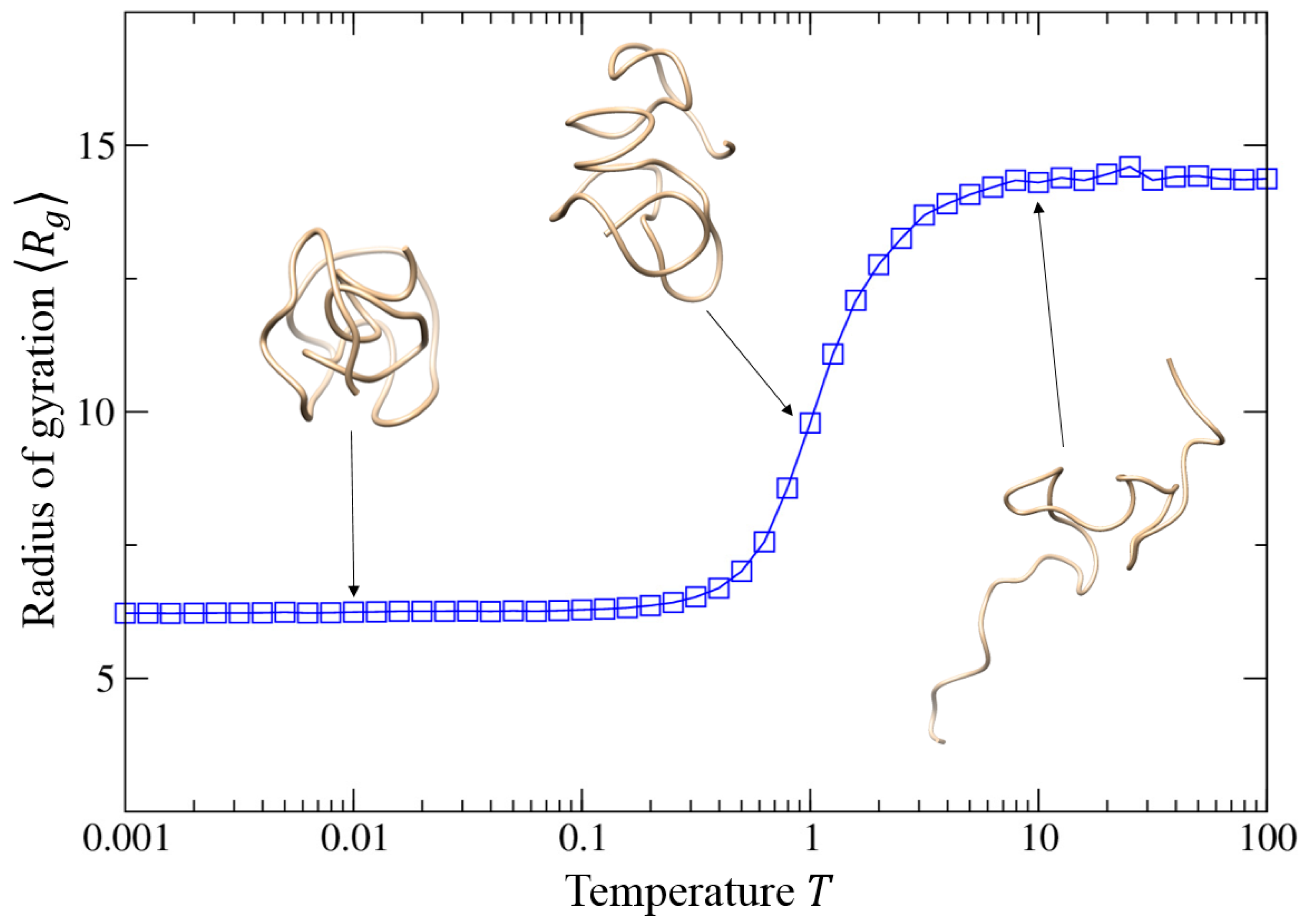 Modeling Coil–Globule–Helix Transition in Polymers by Self-Interacting Random Walks