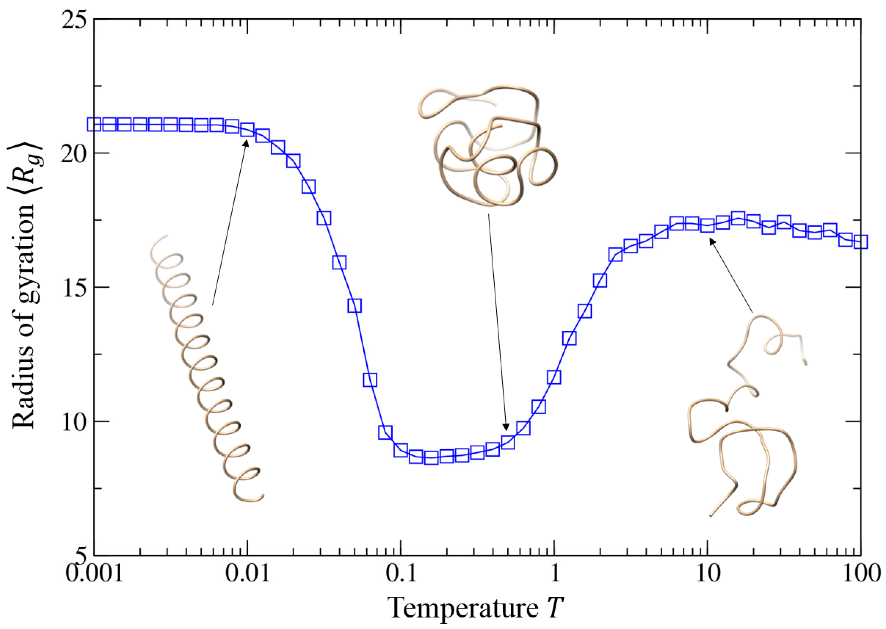 Modeling Coil–Globule–Helix Transition in Polymers by Self-Interacting ...
